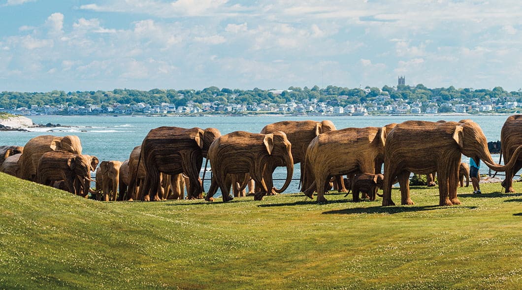 Picture This: On the Move